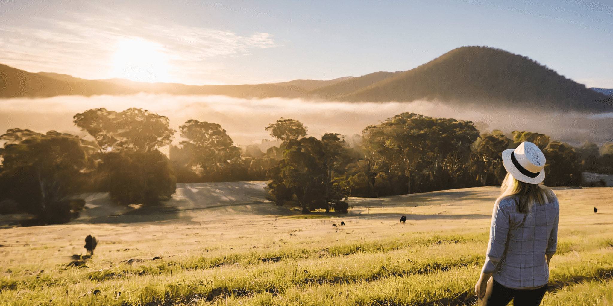 Home - Rural Financial Counselling Service